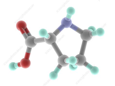 Proline Molecule Stock Image F005 9255 Science Photo Library
