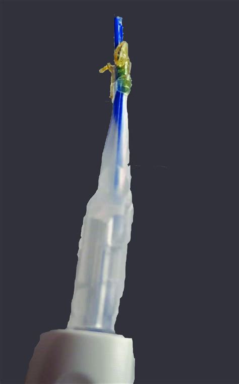 The Silicon Plunger Of The Injector System Crossed Over The Optic Download Scientific Diagram