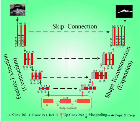 Basic Unet Architecture Showing Encoder Decoder Bridge Network And