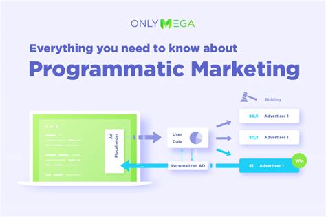 Everything You Need To Know About Programmatic Marketing OnlyMega