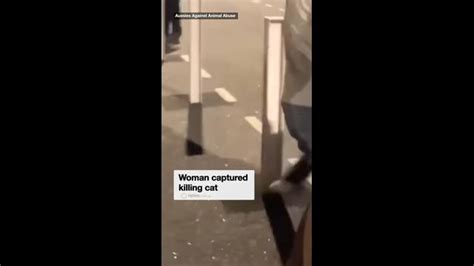 Woman Captured Killing Cat News Com Au Australias Leading News Site For Latest Headlines Woman Captured Killing Cat News Com Au Australias Leading News Site For Latest Headlines