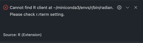 Radian In VS Code Cannot Find R Client I E Radian Issue 372