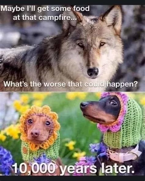 Whats The Worst That Could Happen Rwholesomememes Wholesome Memes Know Your Meme