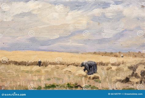 Beautiful Picture Of The Landscape Is Suitable For The Background