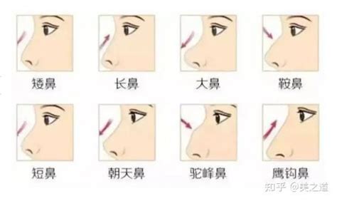 陈国成鹰钩鼻好看吗为什么有人奸险阴沉有人却貌美帅气 知乎