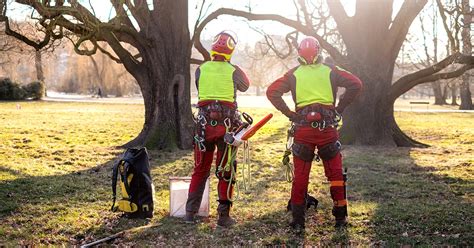 The Protection Of Trees By Tree Preservation Orders Moore Barlow LLP