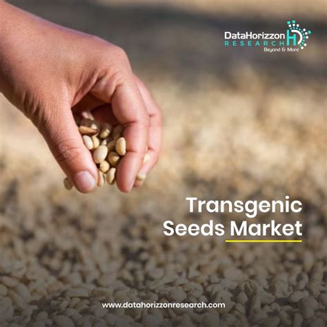 How Transgenic Seeds Boost Crop Health Agriculture Industry