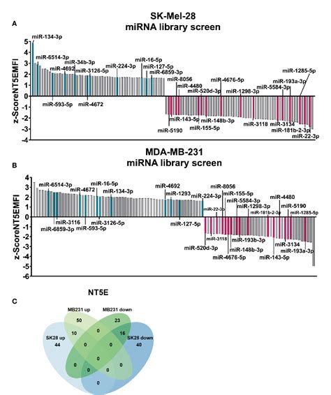 Figure 1 From Novel Micrornas Modulating Ecto 5′ Nucleotidase