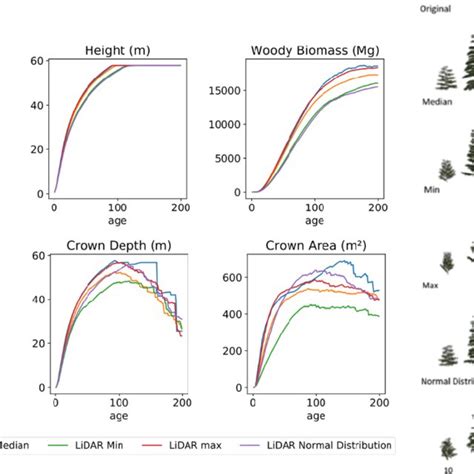 left tropical tree fsp model variable output for different