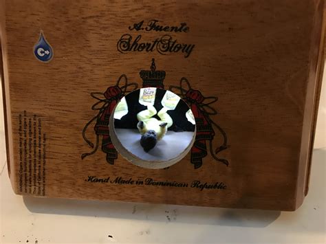 Assemblages The Shrunken Place