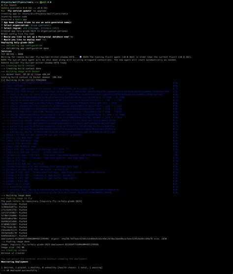 fly launch should return app details · issue 1215 · superfly flyctl · github