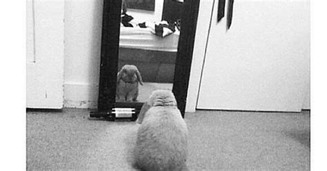 Daggone Right Album On Imgur