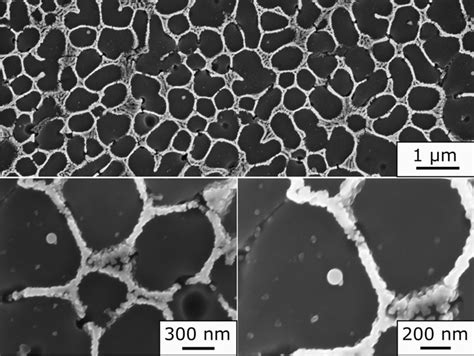 Microstructure Of Selective Laser Melted Alsi10mg Sem Images Primary