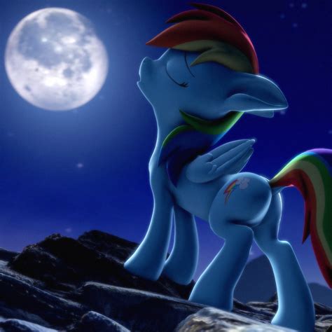 Rainbow Dash Butt
