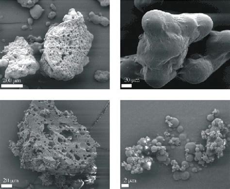 Particles Dried Using The Pgss Drying Process Download Scientific Diagram