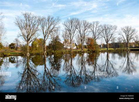 Trees No Leaves Hi Res Stock Photography And Images Alamy