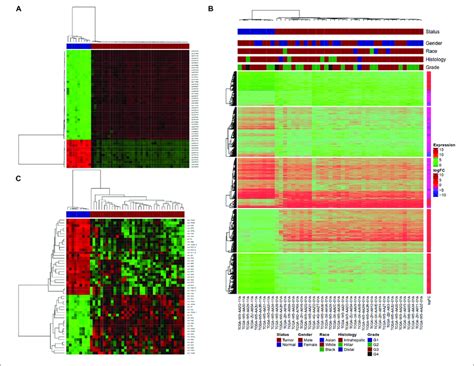 Clustering Analysis Of Normal And Tumor Cca Samples Using Dm Cpgs And