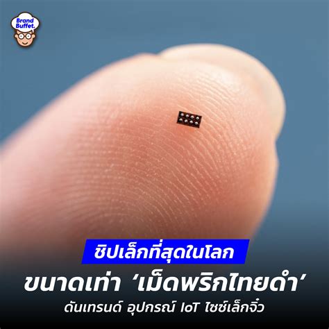 Brand Buffet อุปกรณ์ Iot จะเล็กลงได้อีก Texas Instruments เปิดตัว ชิปที่เล็กที่สุดในโลก ขนาด