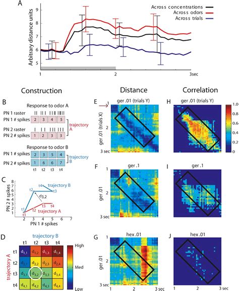 Intensity Versus Identity Coding In An Olfactory System Neuron