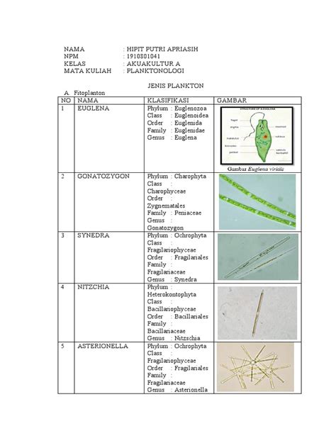 Jenis Plankton Pdf Alga Organisme