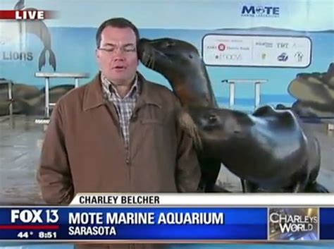 15 Ridiculous News Bloopers That Will Embarrass The News Anchors