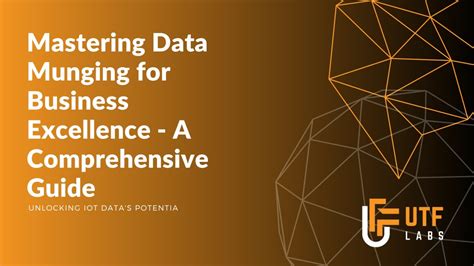 unlocking iot data s potential mastering data munging for business