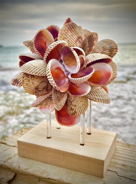 Cockle Shell Sphere Etsy