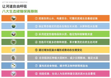 水生态修复原则
