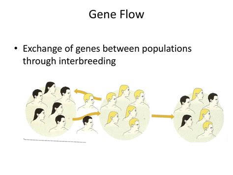 Evolution Is Fundamentally A Genetic Process Ppt Download