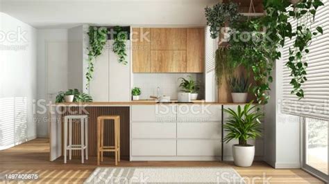 가정 정원 사랑 흰색 톤의 섬과 스툴 인테리어 디자인이 있는 목조 주방 쪽모이 세공 카펫 및 많은 집 식물 도시 정글 실내 바이오필리아 아이디어 0명에 대한 스톡 사진 및