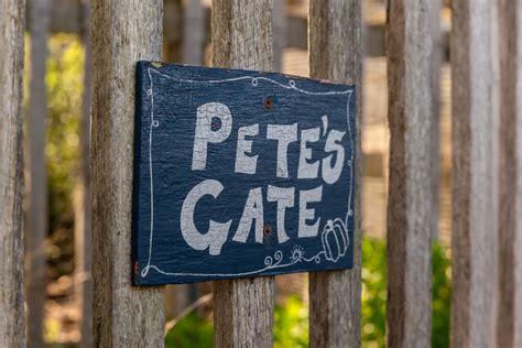 Surfside Primary School Viewpoint Digital Media