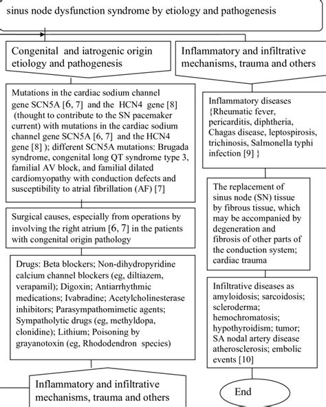 Sinus Node Dysfunction Syndrome By Etiology And Pathogenesis