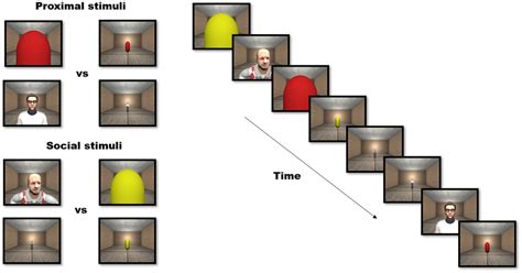 Experimental Design Images Depict Stimuli Used To Test Brain And Download Scientific Diagram