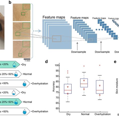 Portable Health Monitoring With The Integrated Microscope In A Cell Download Scientific Diagram