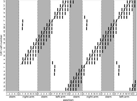 The Ca1 Network Raster Plot Showing Spiking Patterns For The Entire Ca1