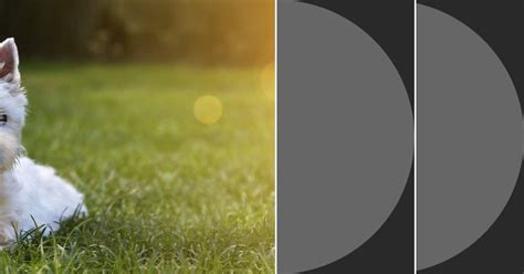 List Process Innovation Curated By Felix Eger Medium