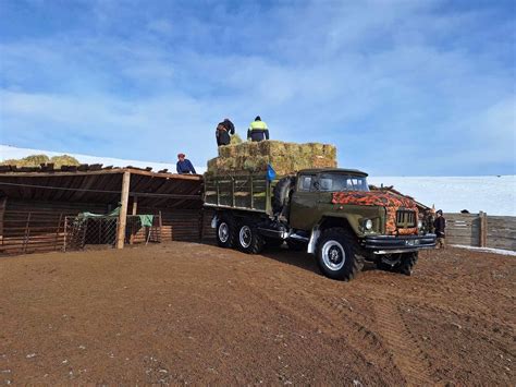 Өвөлжилт хүндэрсэн сумдад цэргийнхэн ажиллаж байна News Mn