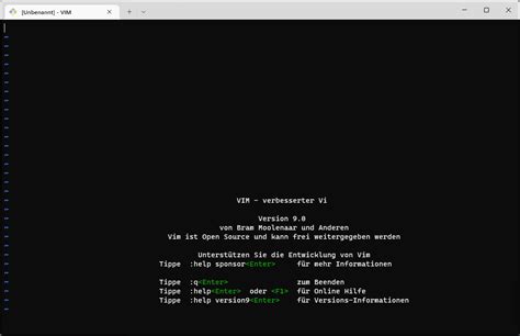 Wrong Size When Using Windows Terminal · Issue 7001 · Vimvim · Github