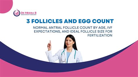 3 Follicles And Egg Count Normal Antral Follicle Count By Age Ivf