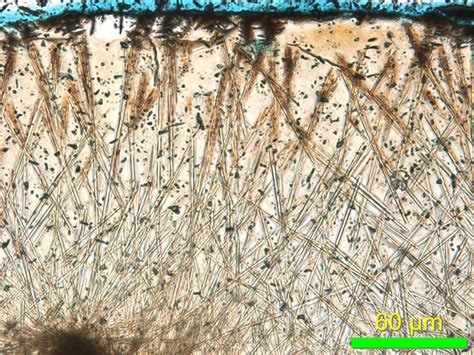 Podcast 126 Exploring Non Destructive Analysis Of Ceramics U S National Park Service