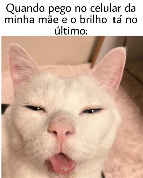 40 Memes Engraçados Do Momento Com Fatos Incríveis Da Vida