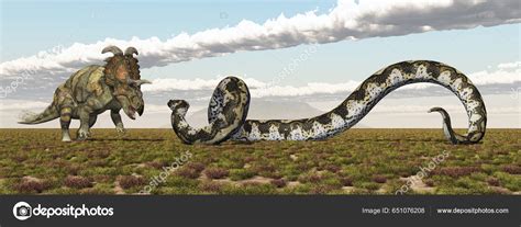 Serpente Preistorico Gigante 4700 Anaconda Boa Foto Stock Immagini