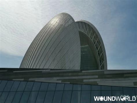 The Emerging Science Of Biofilm Shifting The Spotlight To The Biofilm