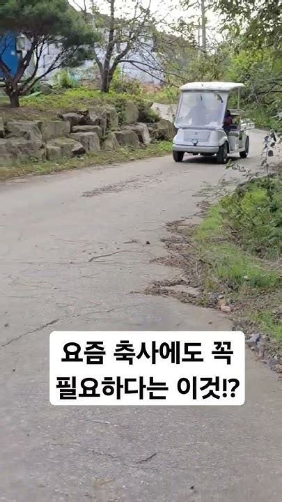 당신만 몰랐던 농촌의 핫한 퓨어전기 카트엔테크농기계전문채널농기계농기계전문가초소형전기차배터리전기차농업용운반차전기차충전골프카트아파트운반차농촌전기차퓨어리폼