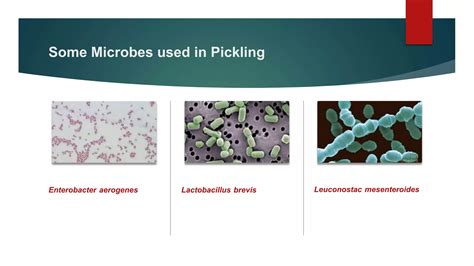 Pickling Pptx Chemistry Science