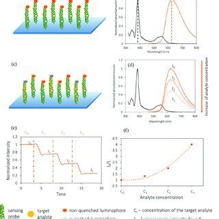 Sensitivity Limit Of Detection And Dynamic Range Of A Calibration Download Scientific Diagram