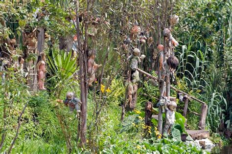 Visit The Island Of The Dolls In Mexico A Strange And Popular Tourist