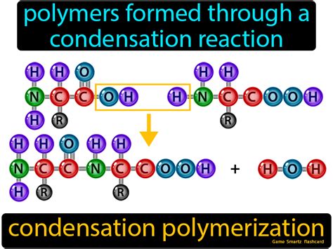 Condensation Polymerization Easy Science Condensation Reaction