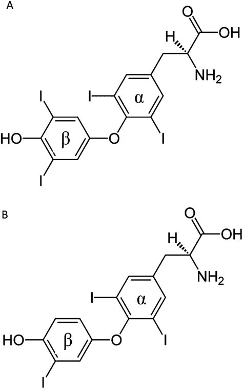Structure Of The Thyroid Hormone Triiodothyronine T3 And Thyroxine