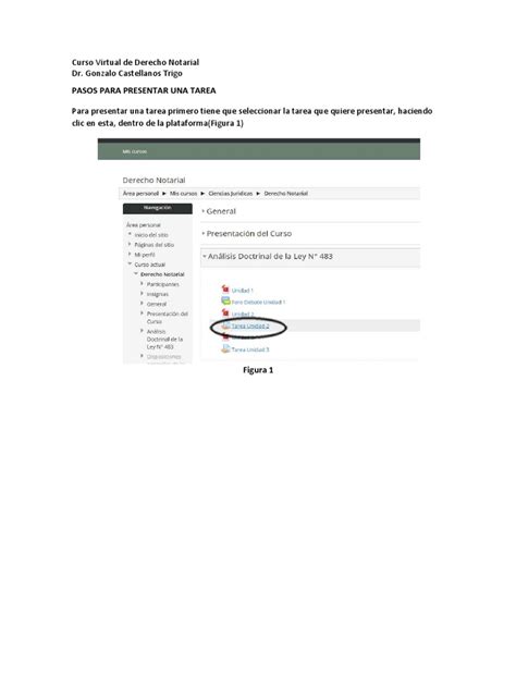 Cómo Presentar Tareas En Derecho Notarial Pdf